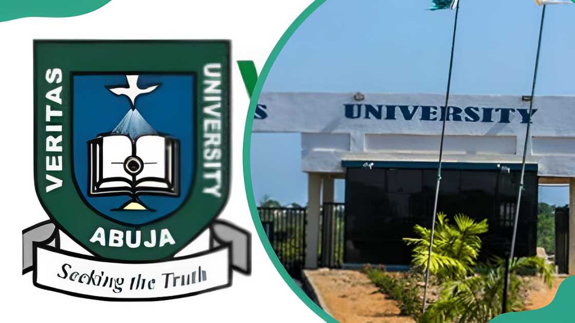 VUNA List of Courses 2024/2025: Undergraduate Programs - School Noble