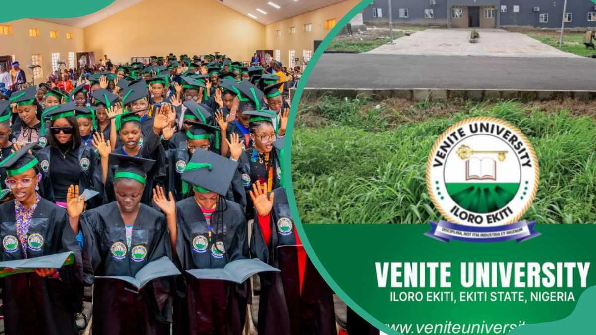 Venite University List of Courses 2024/2025: See All Programs - School ...
